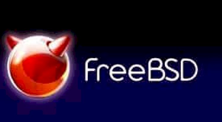 FreeBSD PKG MySQL 5.5 Kurulumu - Metin2 Blog
